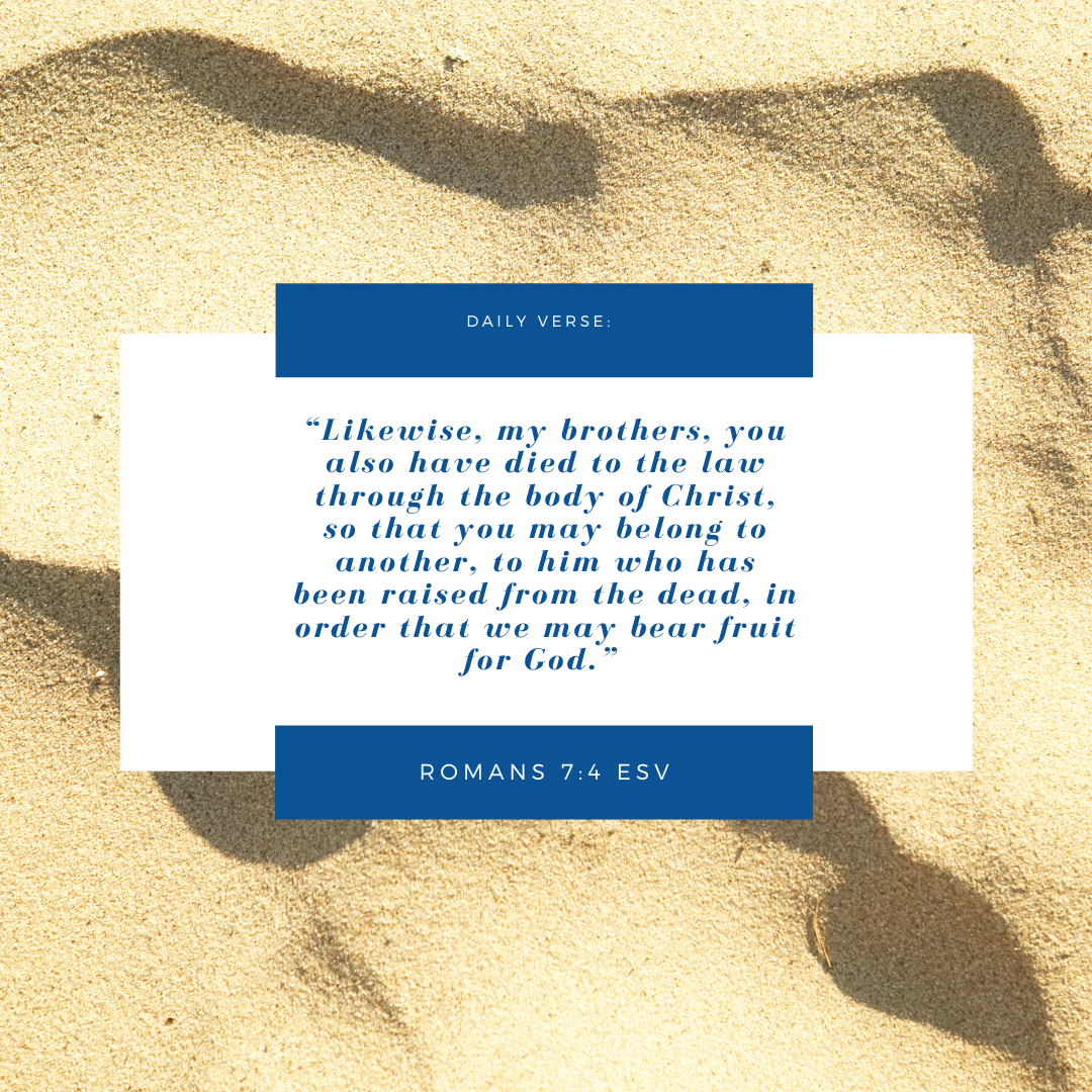 Honest Reflections – Beth Morrison