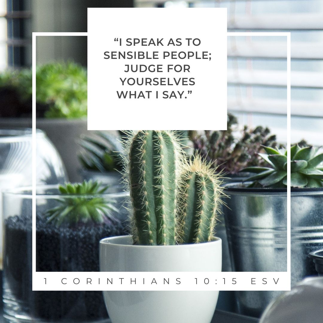 Honest Reflections – Beth Morrison