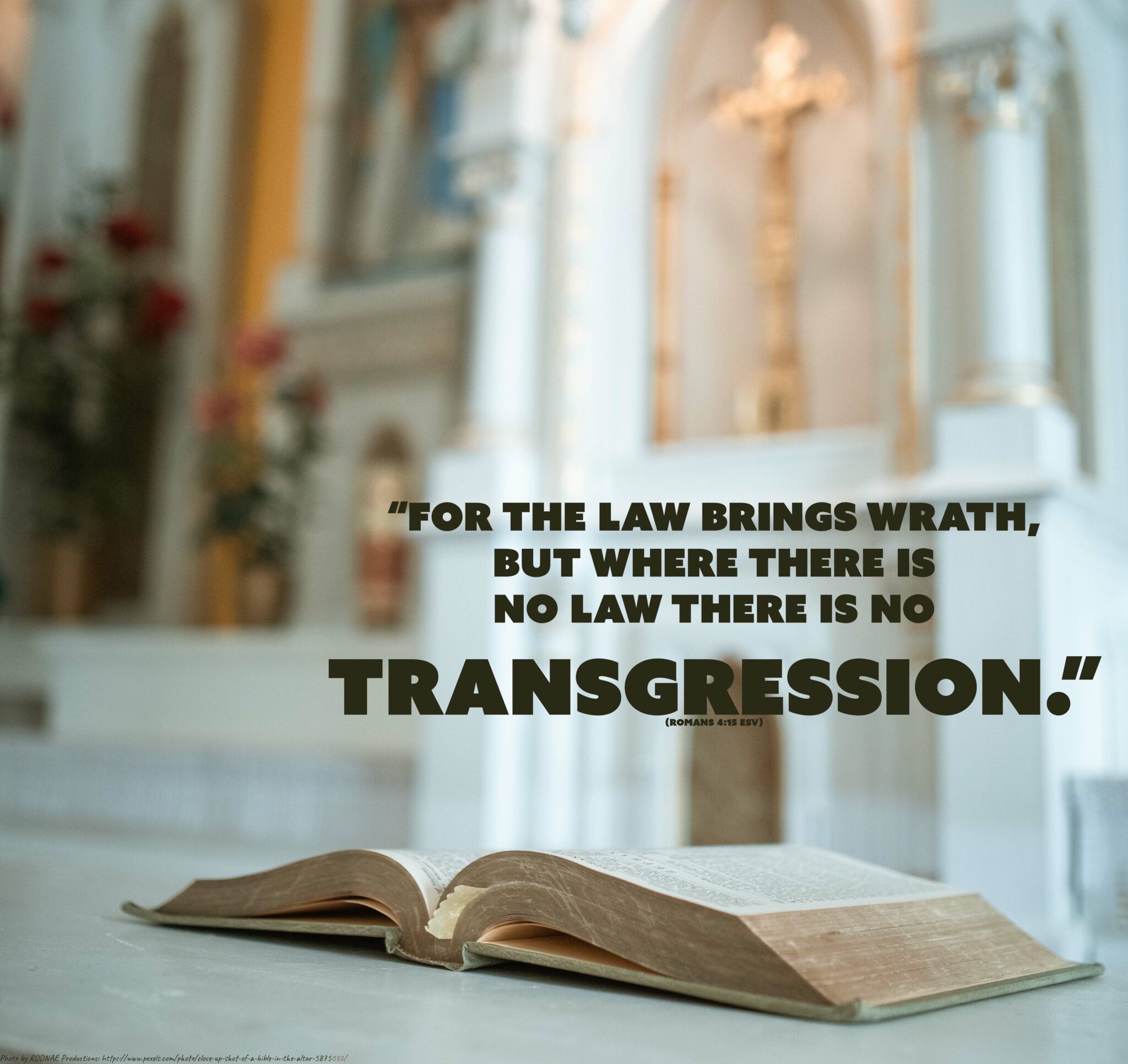 Honest Reflections – Beth Morrison